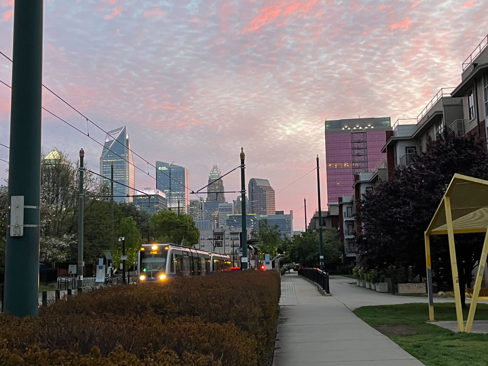 Our Work | Sustain Charlotte