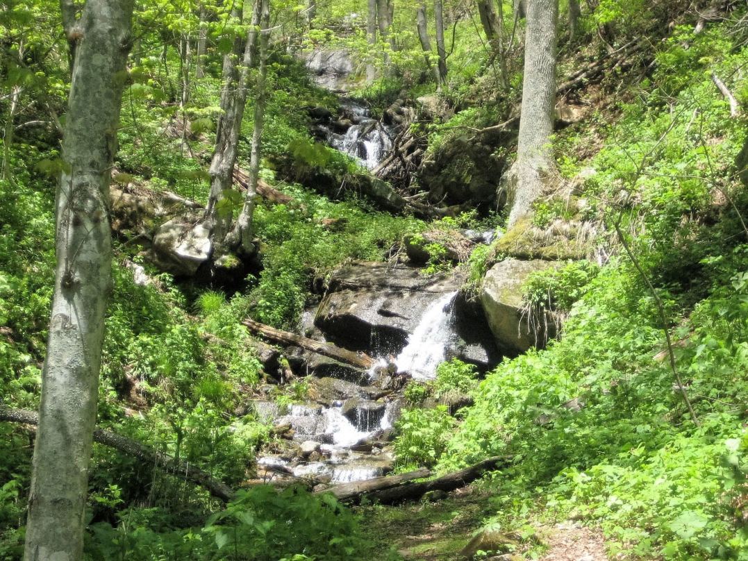 Visiting the NC mountains? Boone's Lovill House Inn is a sustainable ...