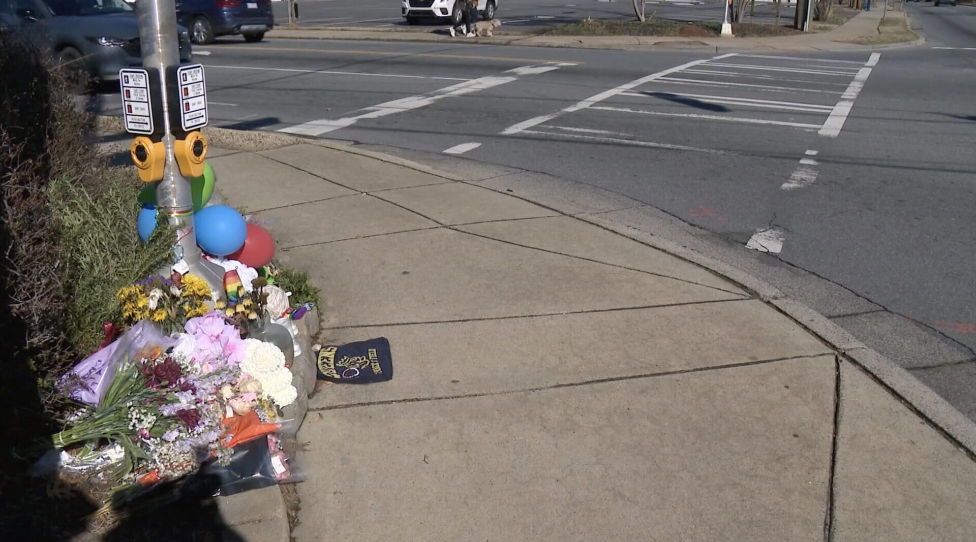 Nonprofit calls for return of red light cameras in Charlotte after ...